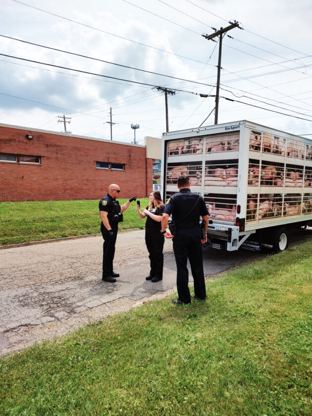 PETA gets order to go | News, Sports, Jobs - The Vindicator